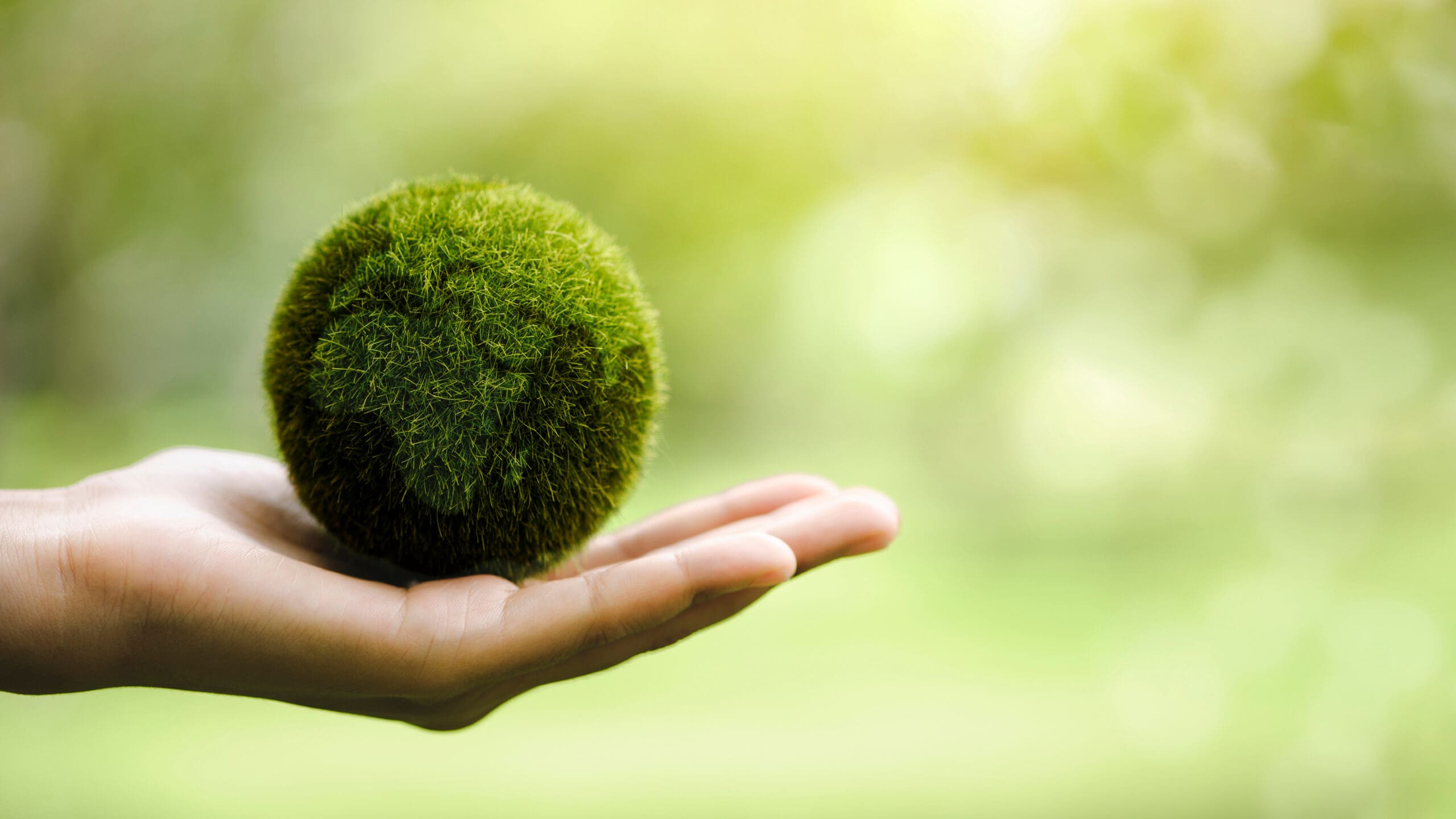 Biodegradable adhesives provide peace of mind on the environment ...